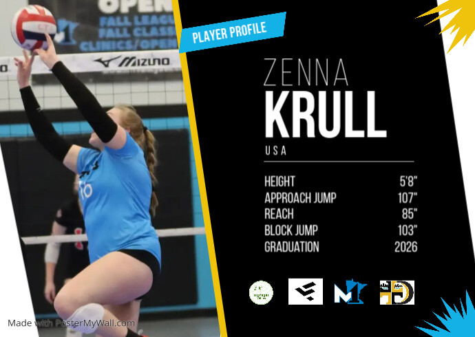 Player Profile Template (1) | PosterMyWall