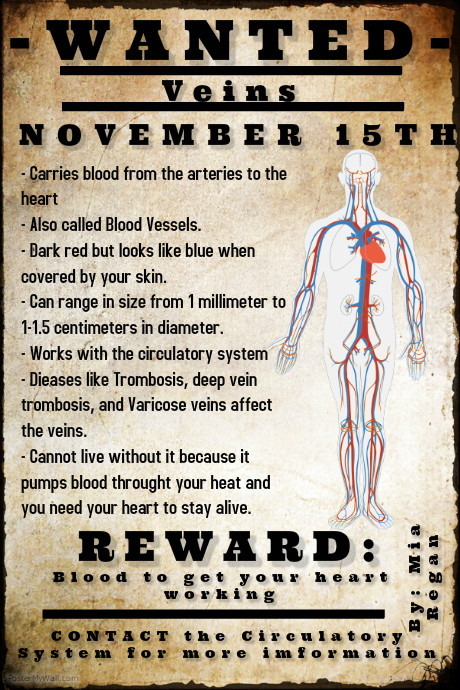 Veins Poster | PosterMyWall
