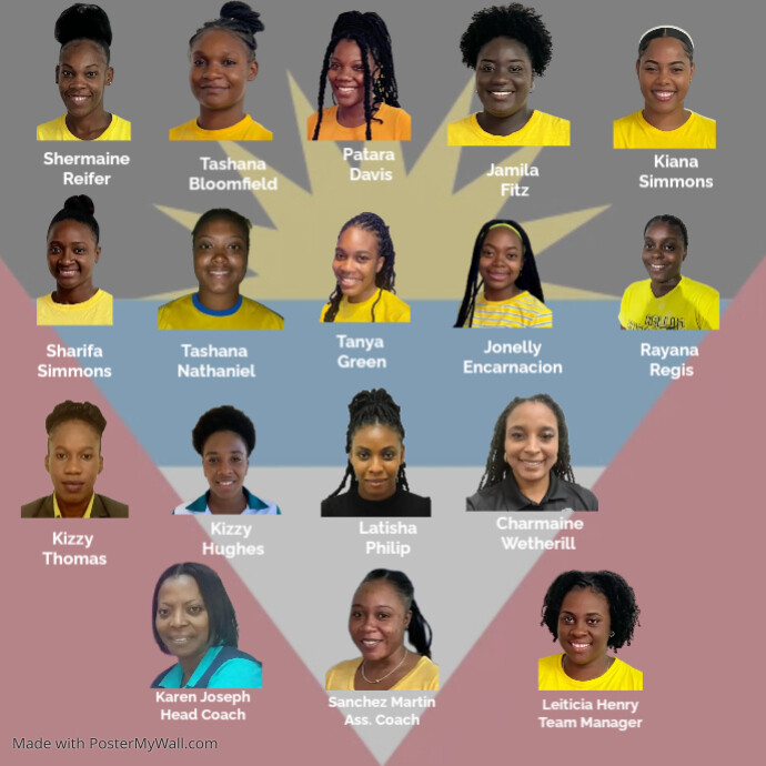 Cricket Game Day Team Sheet | PosterMyWall