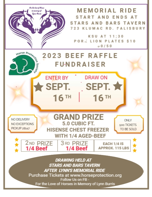 Raffle Ticket Contest Flyer | PosterMyWall