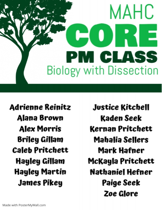 Copy of Tree Trimming Removal Services Flyer Poster Template | PosterMyWall