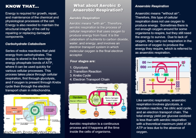 Copy of Copy of Copy of Copy of Copy of Copy of Copy of brochure ...