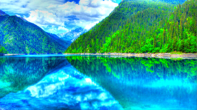 602 Template | PosterMyWall