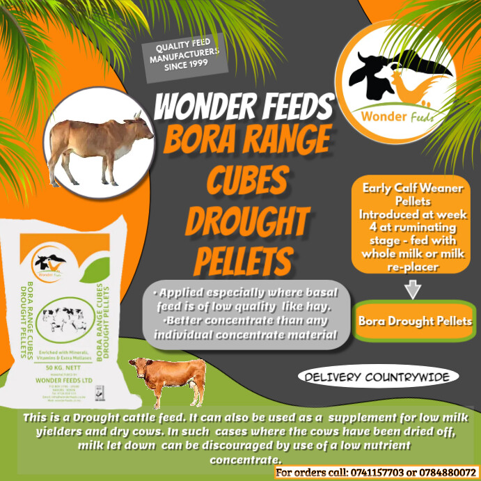 Copy of Bora Range cubes Drought Pellets Ad | PosterMyWall