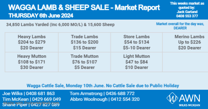 Copy of SHEEP MKT REPORT TEMPLATE | PosterMyWall