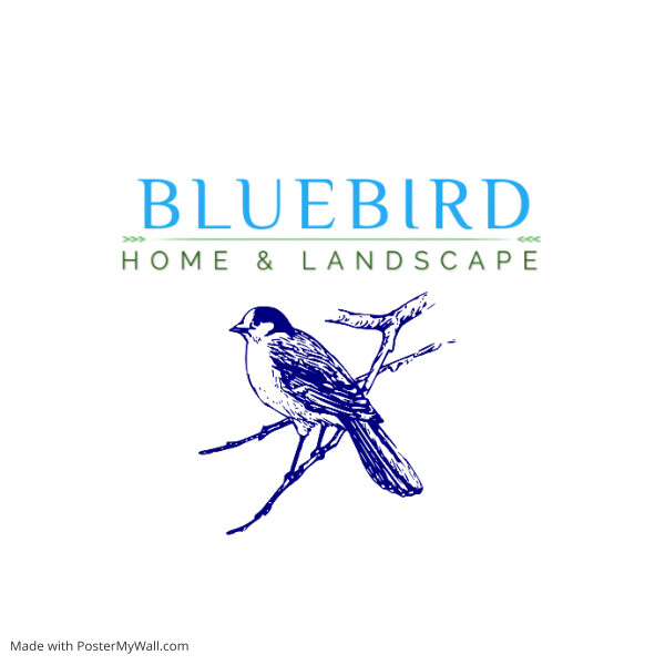 Copy of BLUEBIRD Logo vertical | PosterMyWall