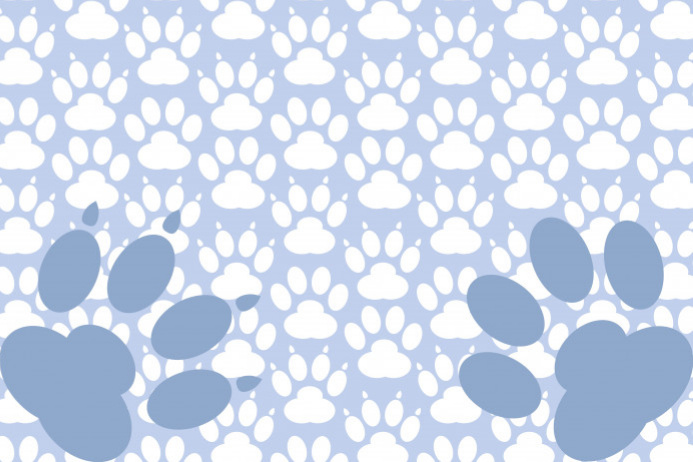 Paws Template | PosterMyWall