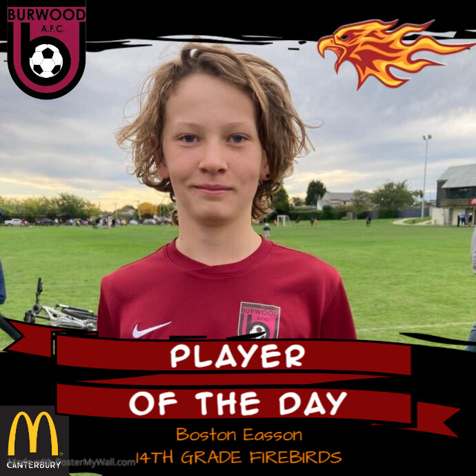 FIREBIRDS | PosterMyWall