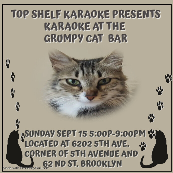 Happy Birthday Cat Lady | PosterMyWall