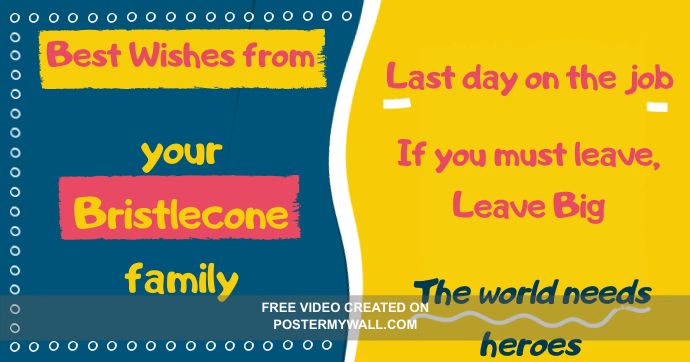 Good luck and Good Vibes Facebook Post Video | PosterMyWall