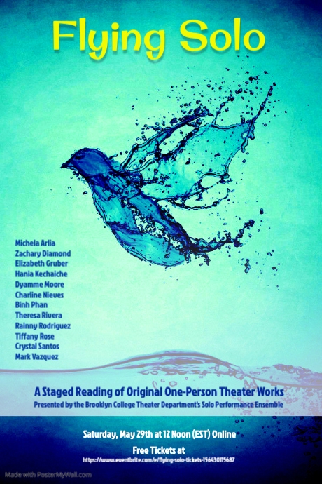 Flying Solo | PosterMyWall