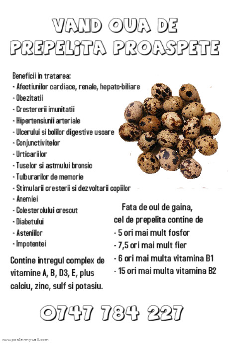 Copy of A New Poster | PosterMyWall