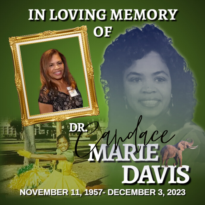 Copy of Candace Davis elephant | PosterMyWall