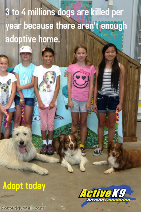 Active K9 PSA 2 | PosterMyWall