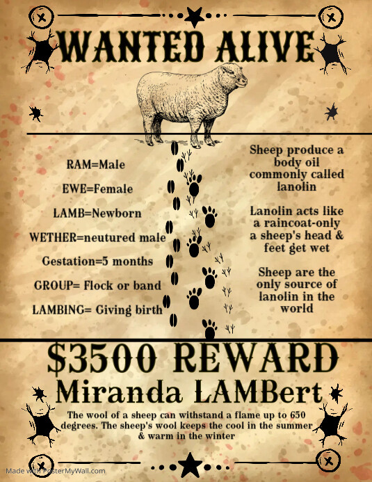 Wanted Poster SHEEP | PosterMyWall