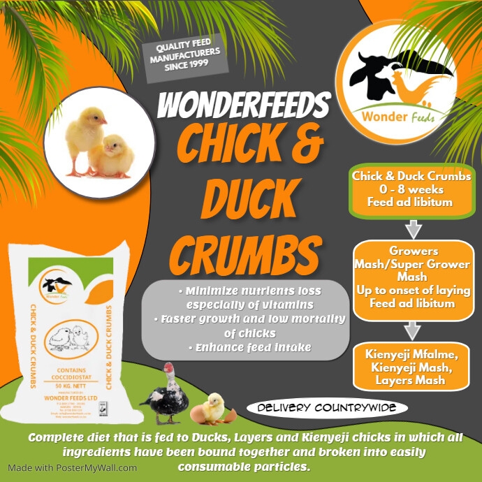 Chick & Duck Crumbs Ad (1) | PosterMyWall