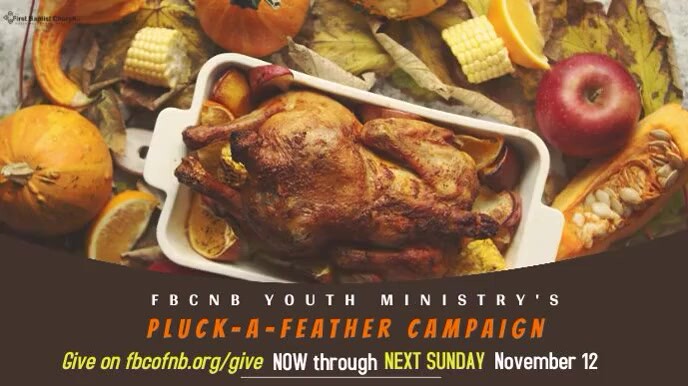 Pluck A Feather 2023 - NEXT SUNDAY | PosterMyWall