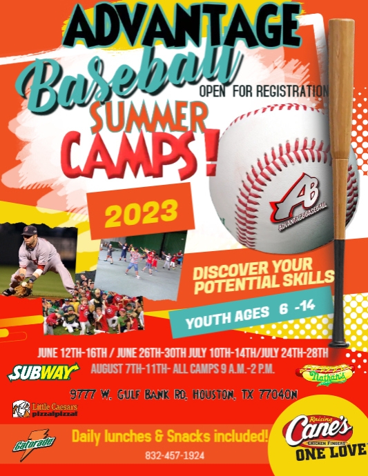 Copy of Copy of Baseball Camp Flyer Poster | PosterMyWall