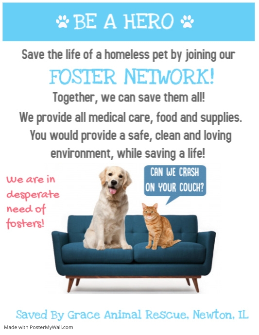 ALDR - Foster homes needed | PosterMyWall