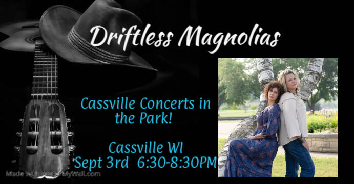 Live Country Band Ad Cover Flyer | PosterMyWall