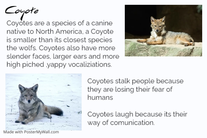 Ariah | PosterMyWall