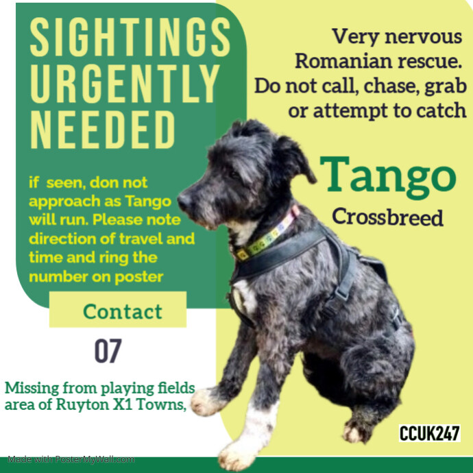 Lost Pet Ad | PosterMyWall