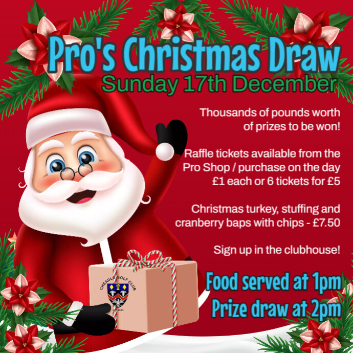 Copy of Pro's Christmas Draw | PosterMyWall