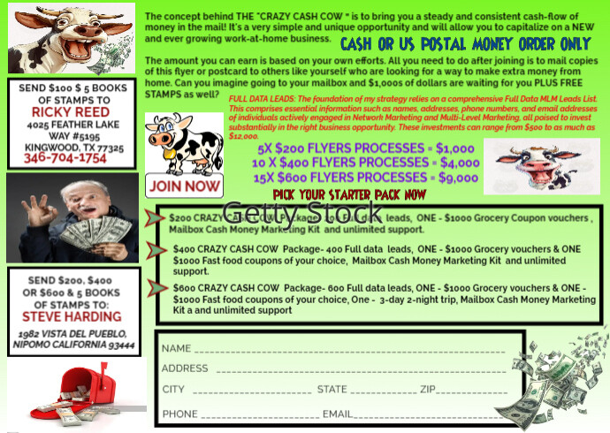 Copy of STEVE CCCF 2023 | PosterMyWall