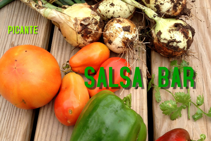 Picante Salsa Bar Template | PosterMyWall