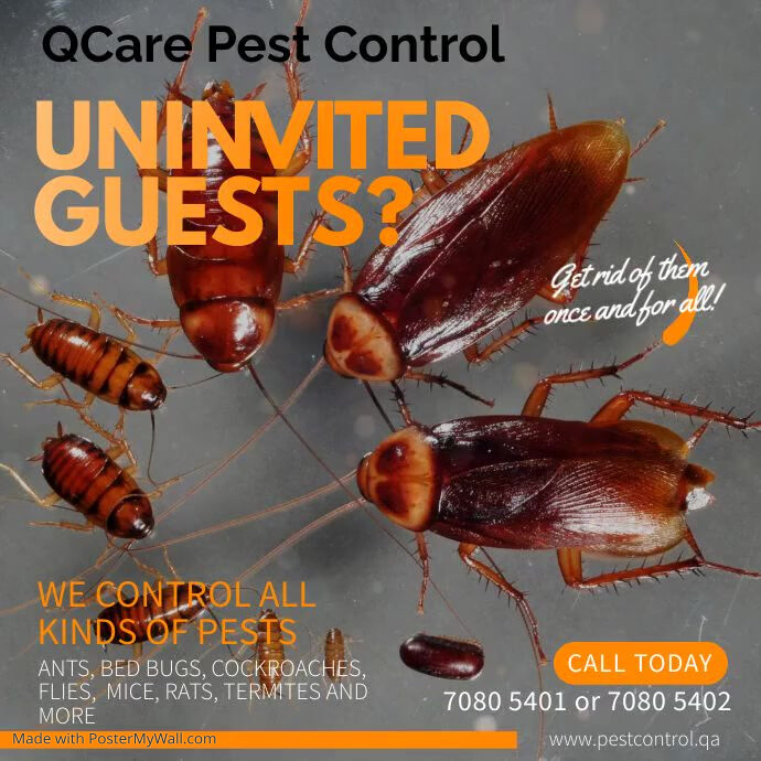Pest Control Ad | PosterMyWall