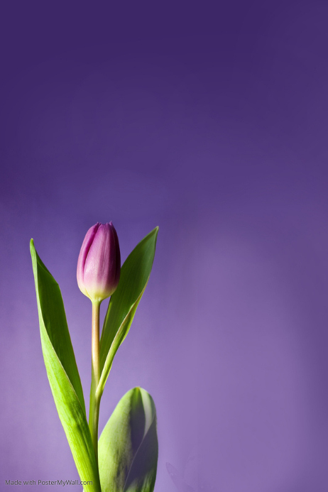 Copy of | PosterMyWall