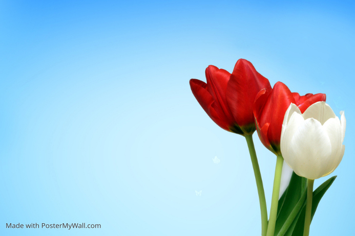 Copy of | PosterMyWall