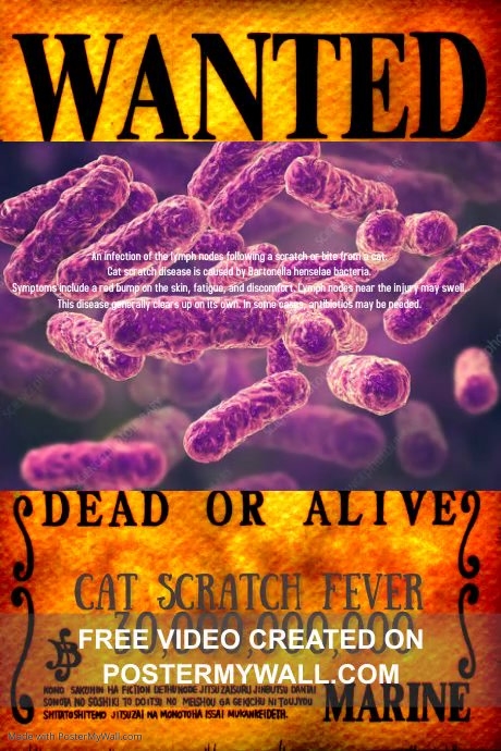 Copy of Copy of Template wanted poster one piece | PosterMyWall