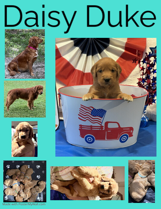 Ms. Teal | PosterMyWall