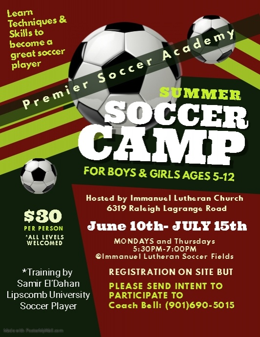 IL Premier Soccer Camp Flyer Template | PosterMyWall