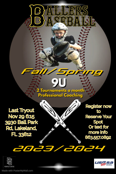 Baseball Game Schedule Poster | PosterMyWall