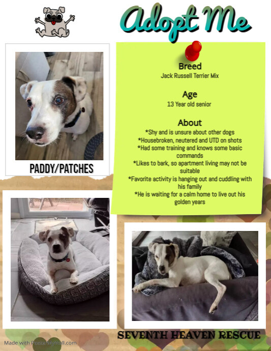 Pet Adoption Animal Rescue Instagram (5) | PosterMyWall