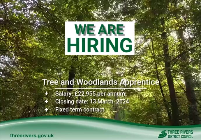 Copy of Tree | PosterMyWall