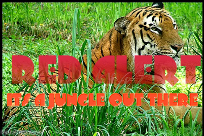 Red Alert | PosterMyWall