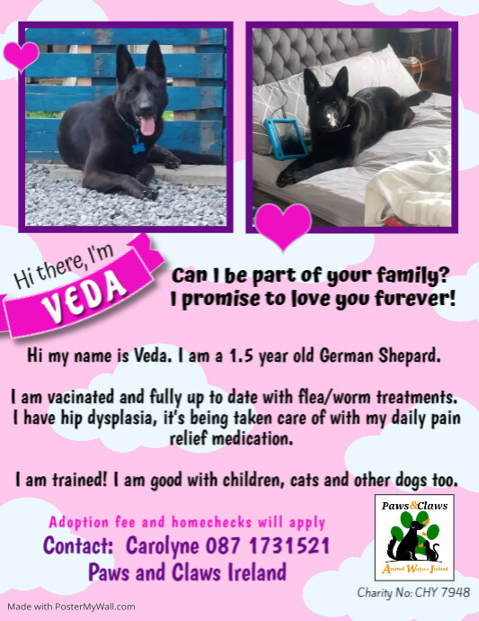 VEDA | PosterMyWall
