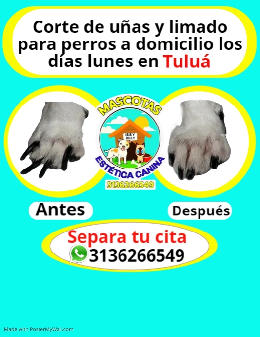 Copy of Copia de Laser Liposuction Services Flyer | PosterMyWall