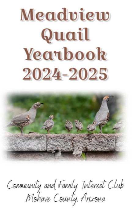 Copy of Quail Book Front | PosterMyWall