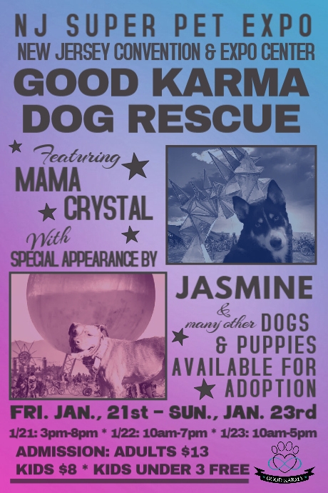 GKDR BURNING DOG | PosterMyWall