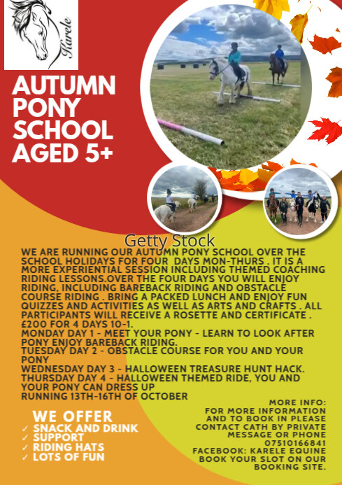 Copy of Horse Riding Lessons Flyer Design Template | PosterMyWall