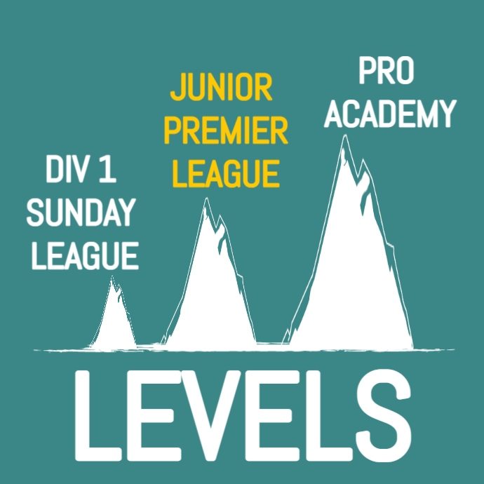 Levels | PosterMyWall