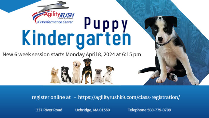 Puppy Kindergarten Post Card | PosterMyWall