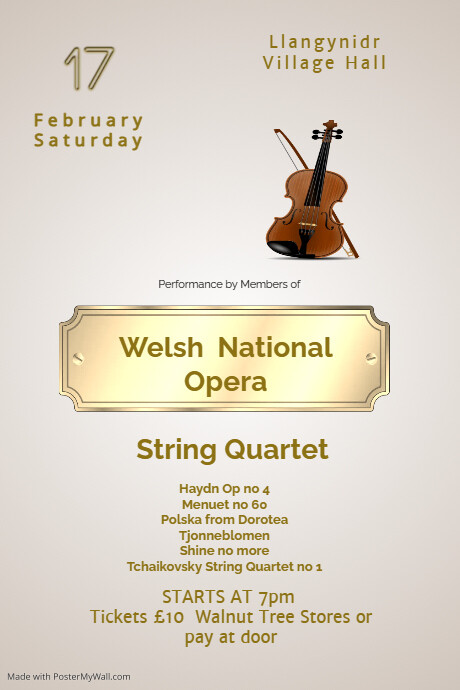 Copy of Violin Concert Flyer Template (1) | PosterMyWall