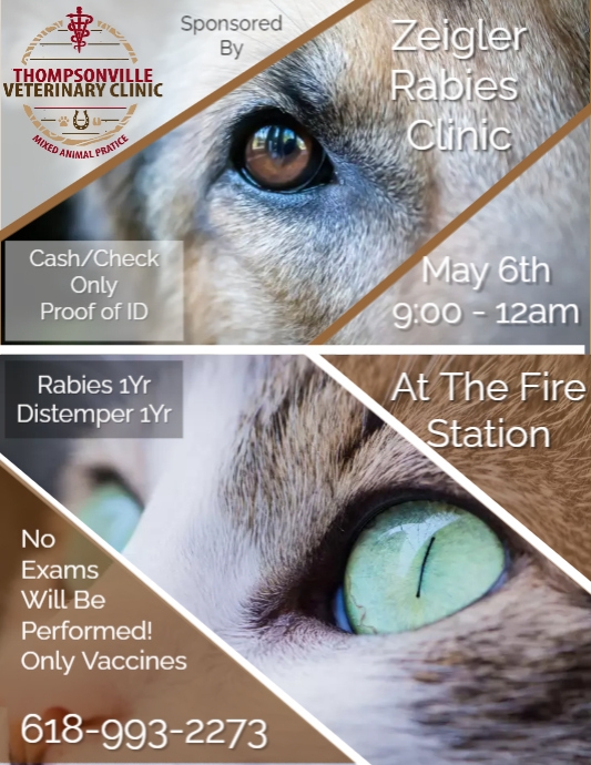 DOG ADOPTION Flyer template | PosterMyWall