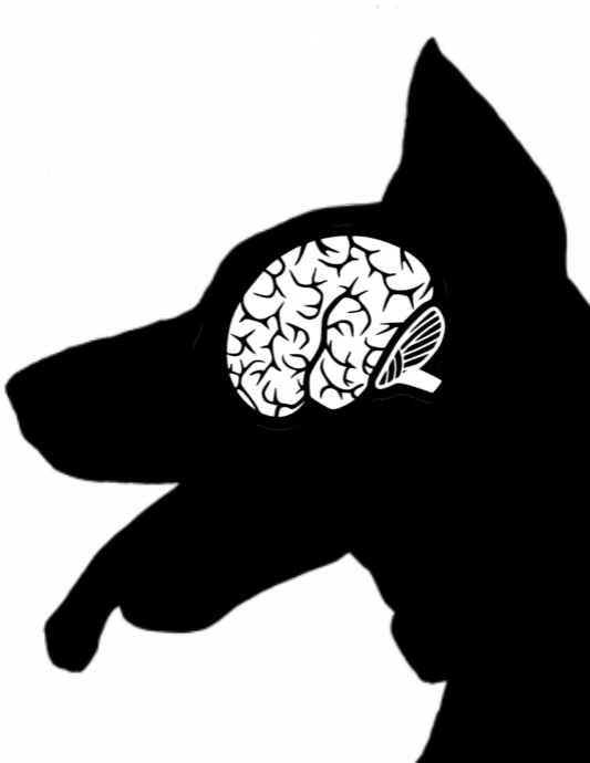 Copy of Get involved Poster | PosterMyWall