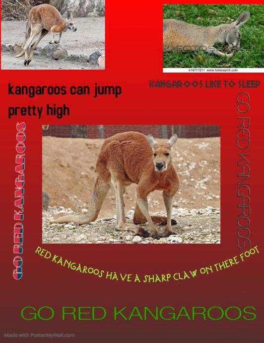 Red - Red Kangaroo | PosterMyWall